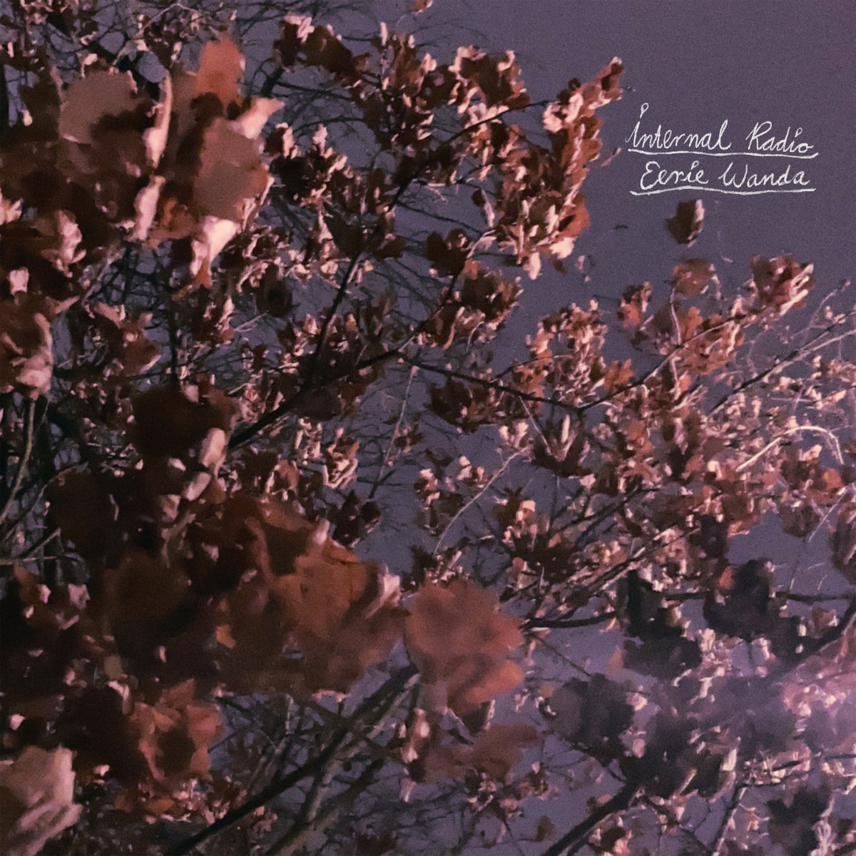 Eerie Wanda | Internal Radio | Joyful Noise Recordings | Joyful Noise ...